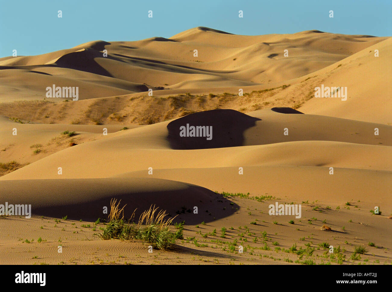Khongoryn Els sand dune. South Gobi desert. Mongolia Stock Photo - Alamy