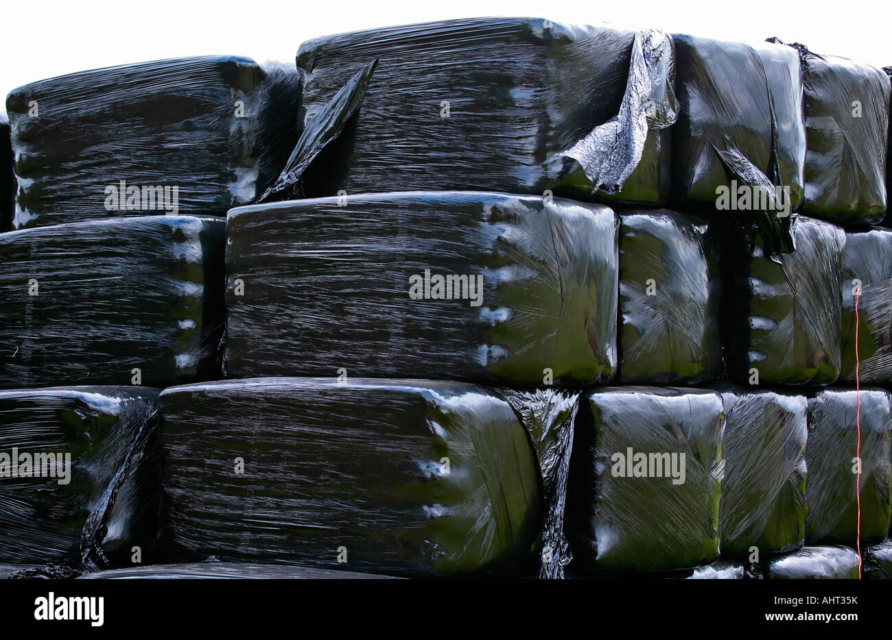 Stack of black plastic covered hay bales stored outdoors in field. West ...