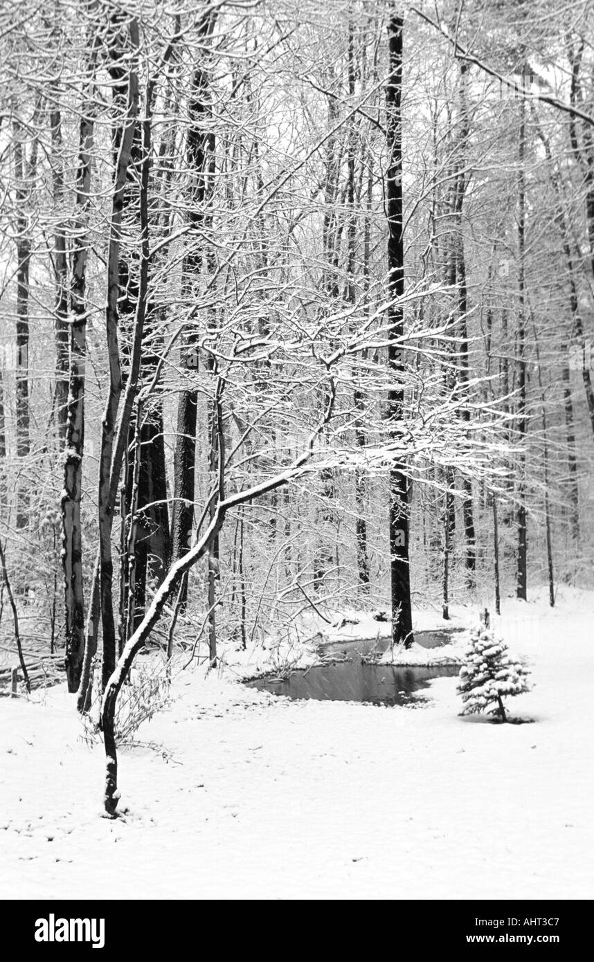 Michigan Winter Scene Stock Photo - Alamy