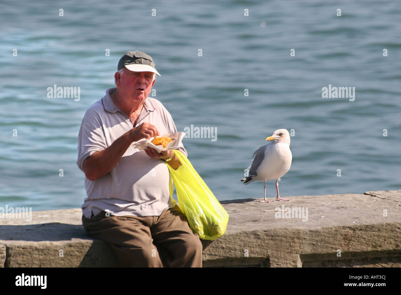 Gull eating chips hi-res stock photography and images - Alamy