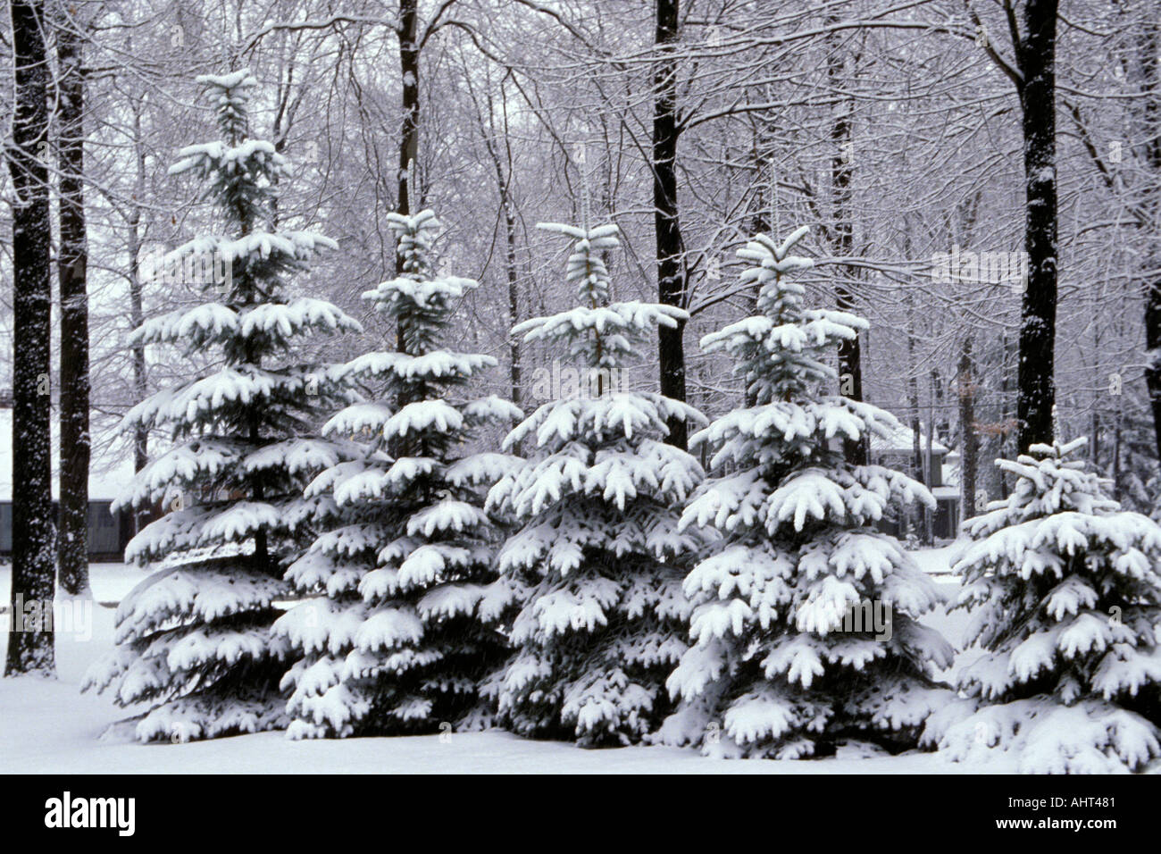 Seasons winter climate snow precipitation white hi-res stock ...