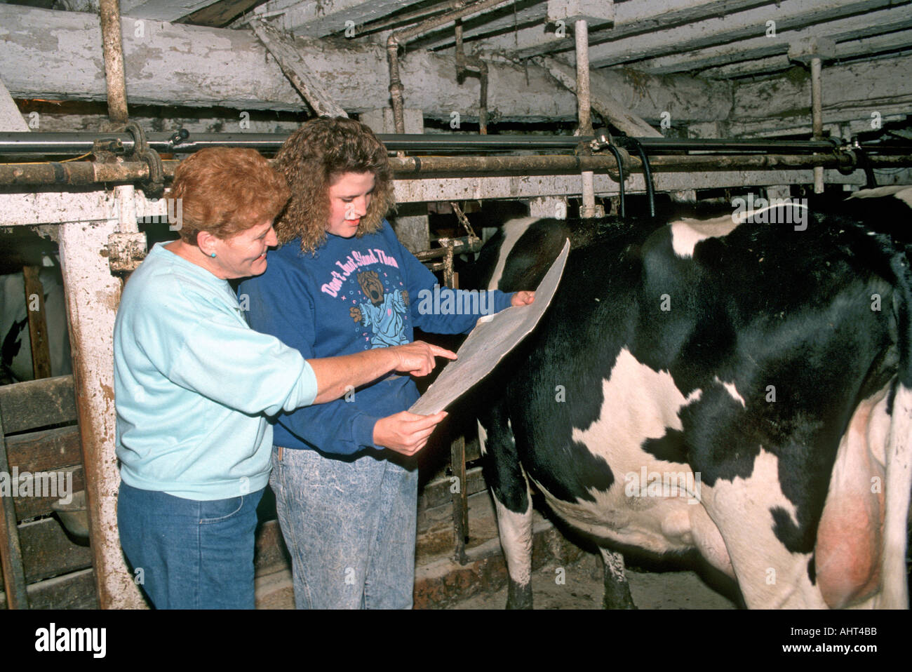 Female dairy farmer and her daughter check daily milk production charts ...