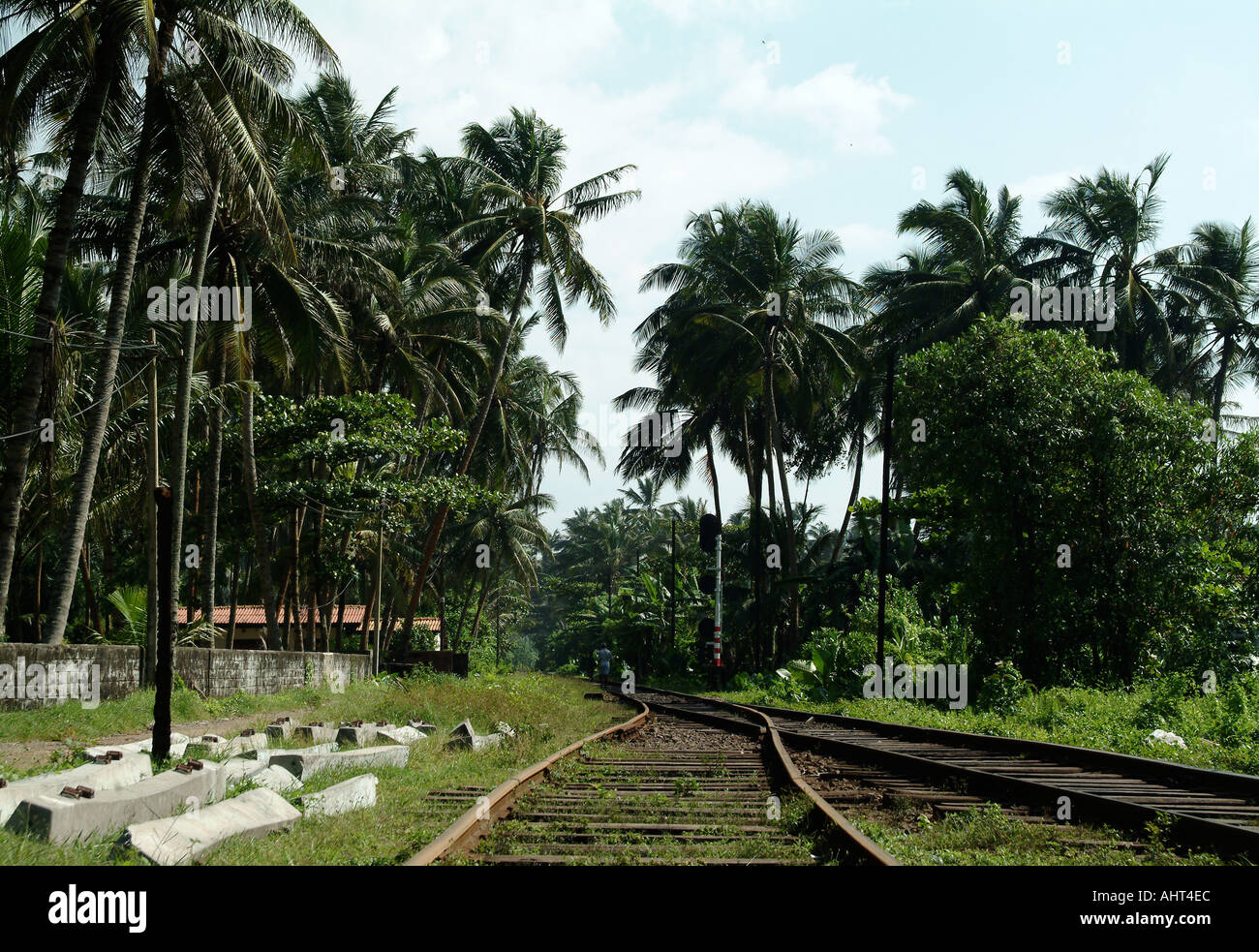 train track in sri lanka Stock Photo - Alamy