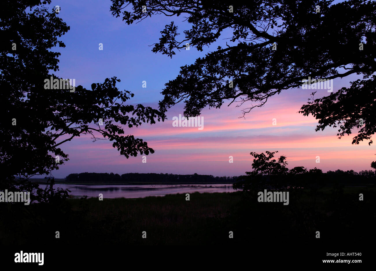 Cheever hi-res stock photography and images - Alamy