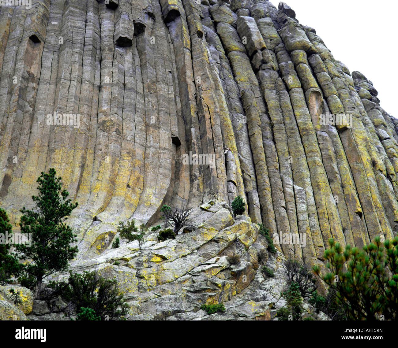 Rock climbers on the fluted face of devils Tower in Wyoming USA. First ...