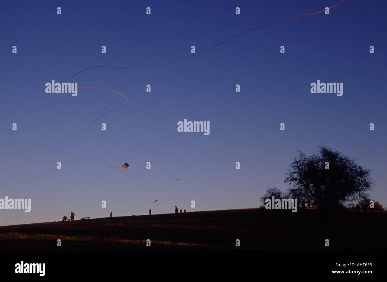 Parliament hill london kite hi-res stock photography and images - Alamy