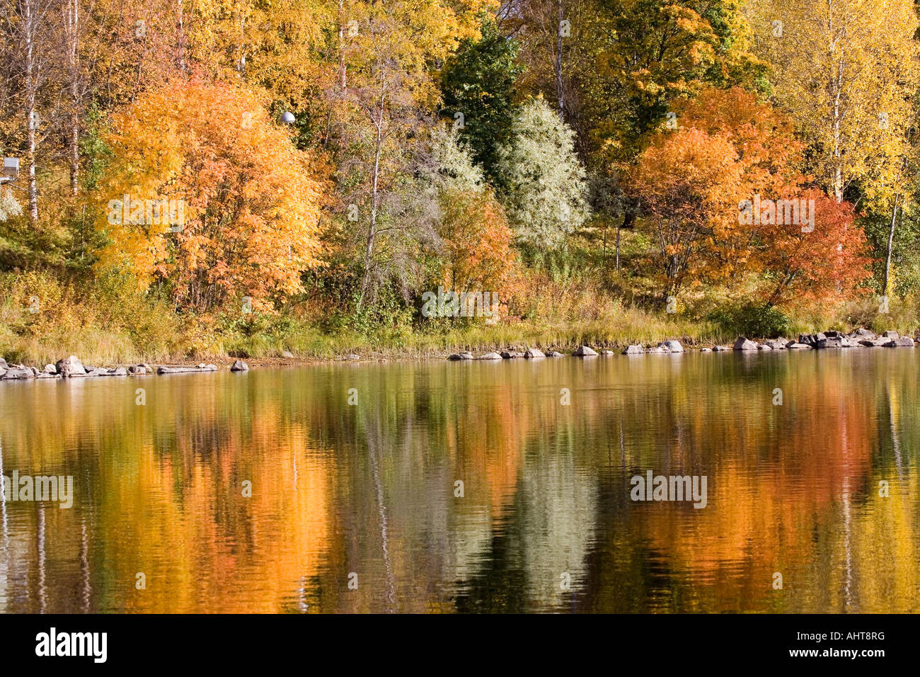 Fall foliage Finland Stock Photo - Alamy