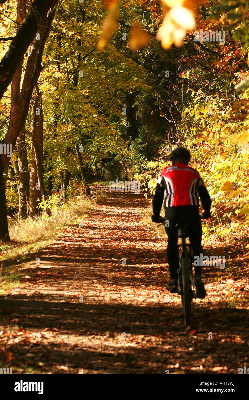 Bicycle path in forest hi-res stock photography and images - Alamy