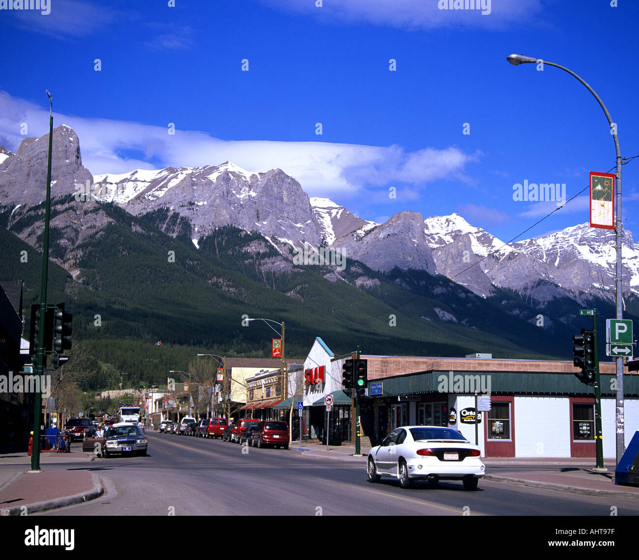 CANMORE ALBERTA CANADA June Nesting foot of Rocky Mountains this ...