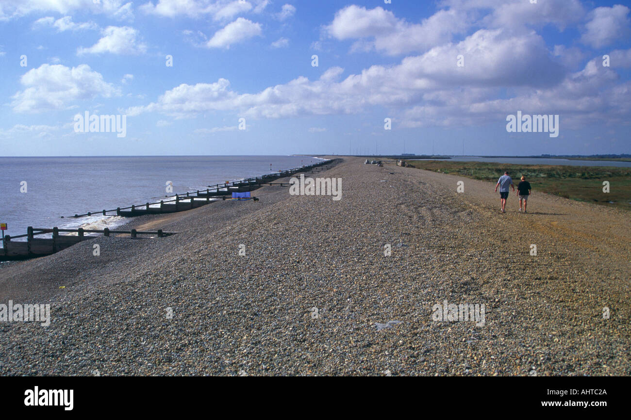 Orford ness spit with groynes on the beach near Aldeburgh Suffolk ...