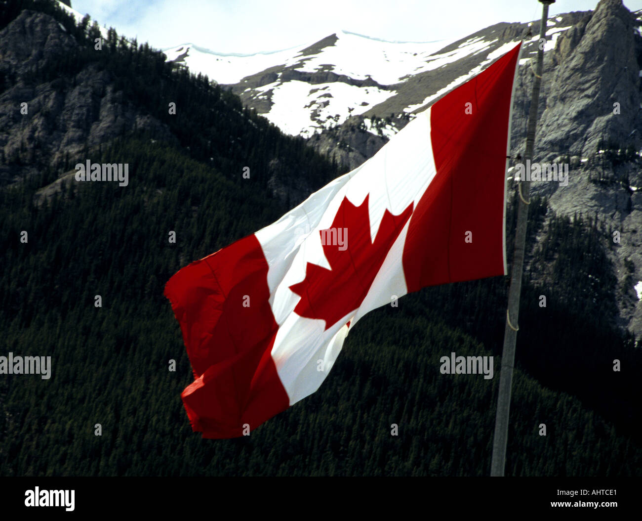 Alberta CANADA May A huge Maple Leaf Flag Stock Photo - Alamy