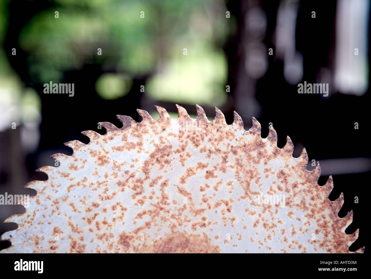 close up of circular saw blade covered with rust. background out of ...