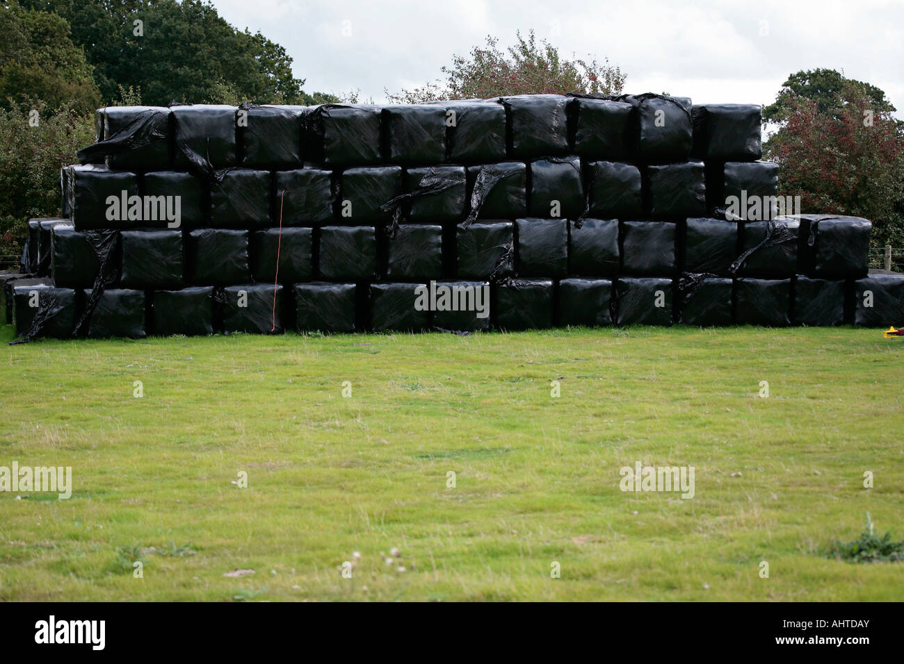 Stack of black plastic covered hay bales stored outdoors in field. West ...