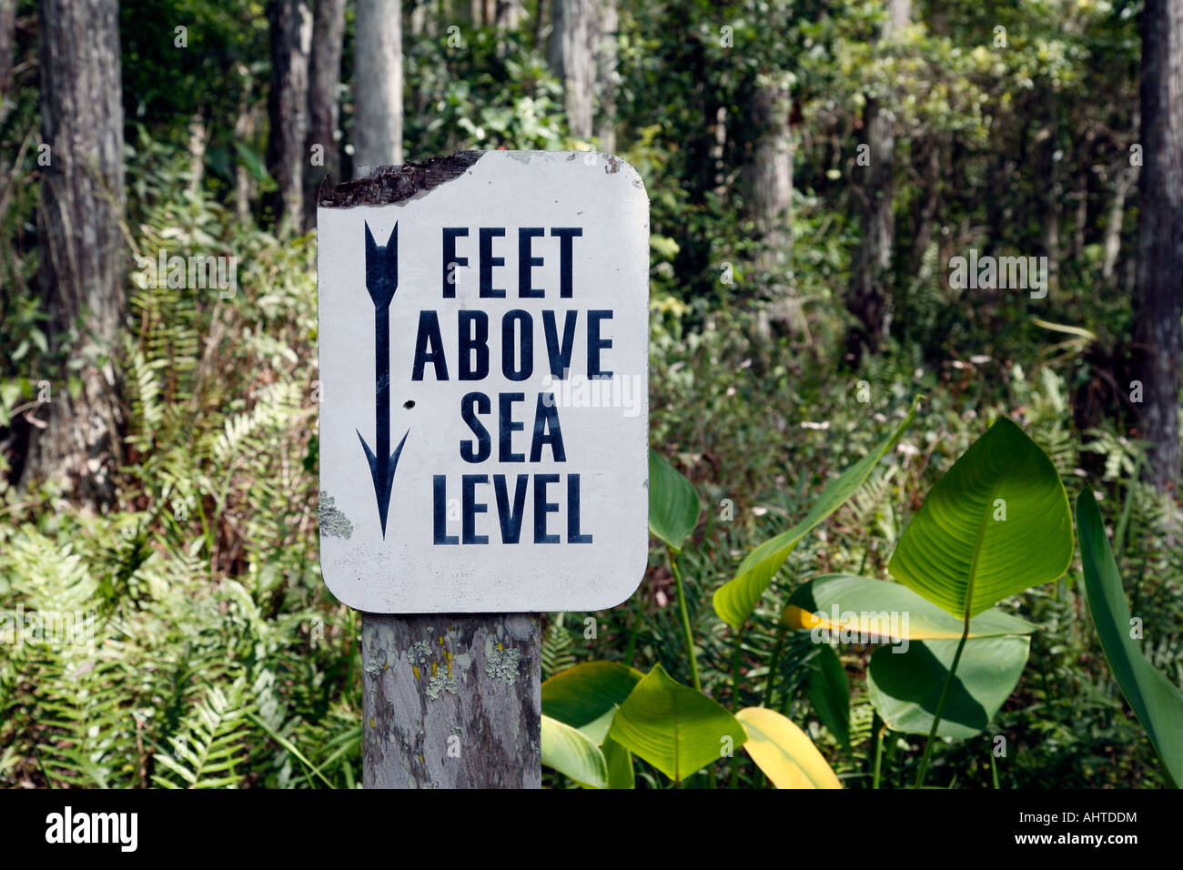 Above sea level sign in Corkscrew Swamp Sanctuary Naples Florida Stock ...
