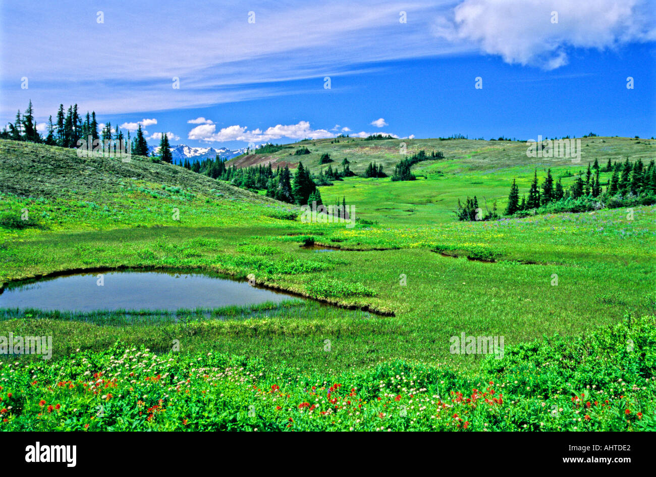 Spaces alpine hi-res stock photography and images - Alamy