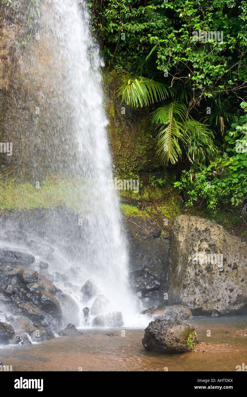 Small Portion of Taki Waterfall on Ngardmau River Palau Stock Photo - Alamy