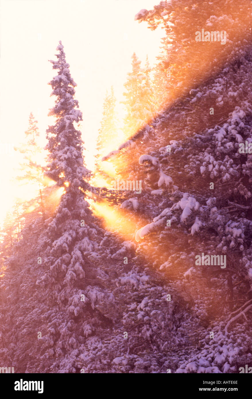 God rays hi-res stock photography and images - Alamy