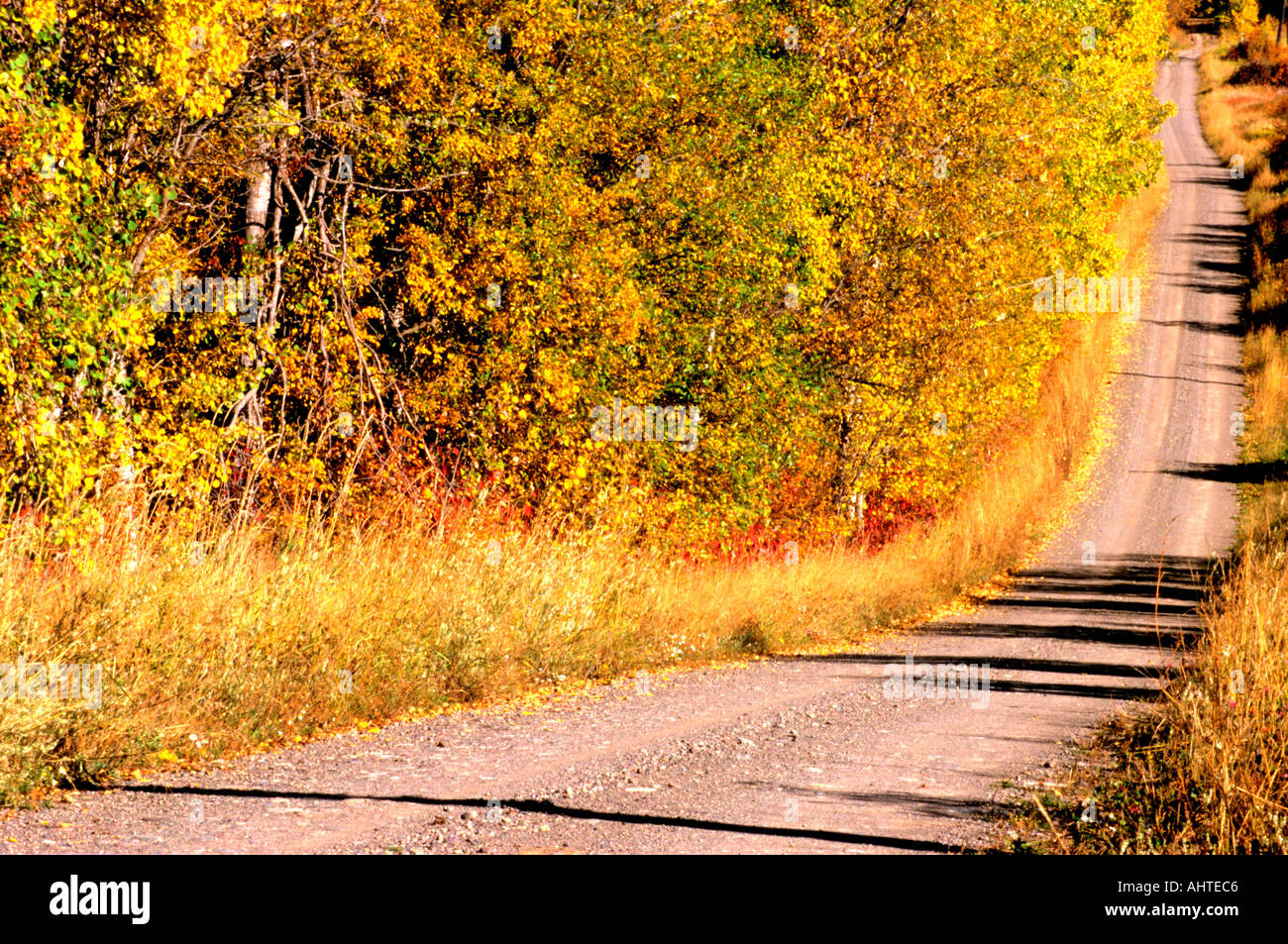 Country Lane with Fall color Stock Photo - Alamy