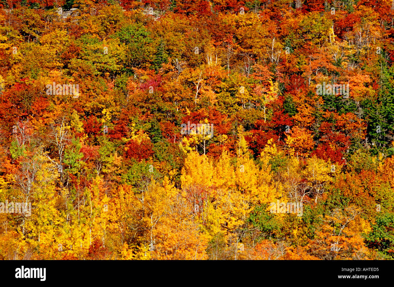 Nobody color robert mcgouey hi-res stock photography and images - Alamy