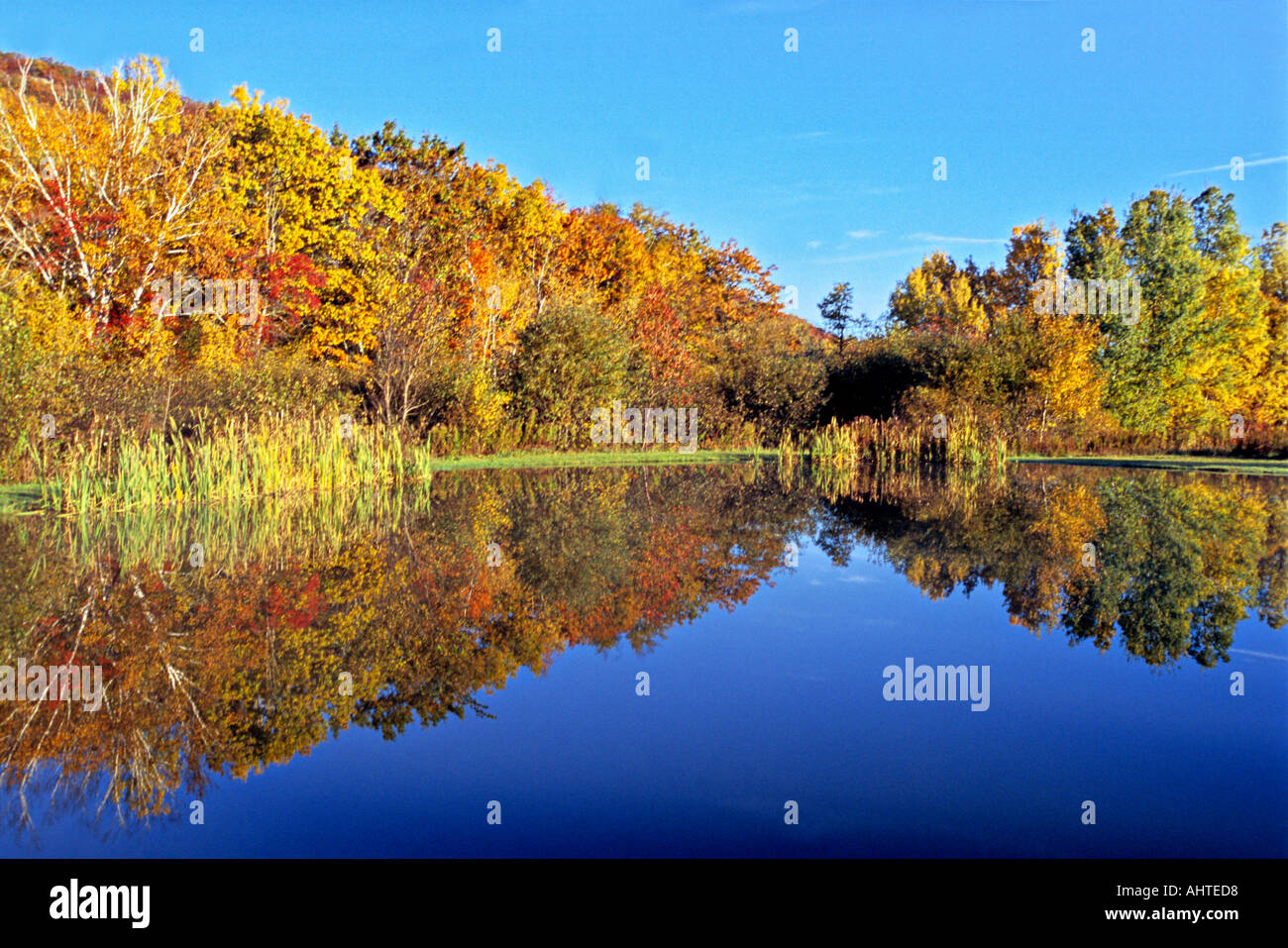 Fall Colors in New Brunswick 5 Stock Photo - Alamy