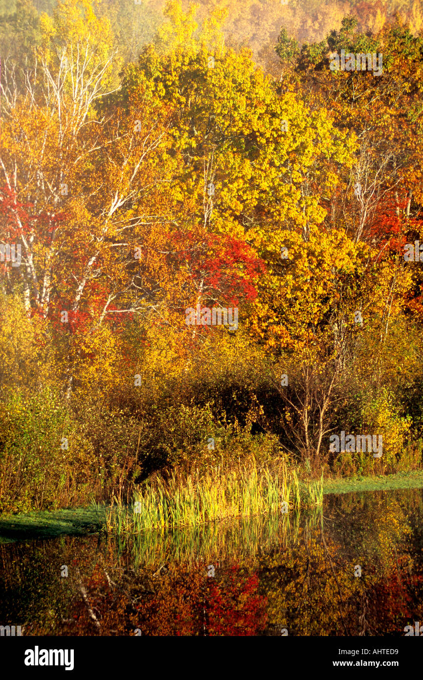 Fall Colors in New Brunswick 6 Stock Photo - Alamy
