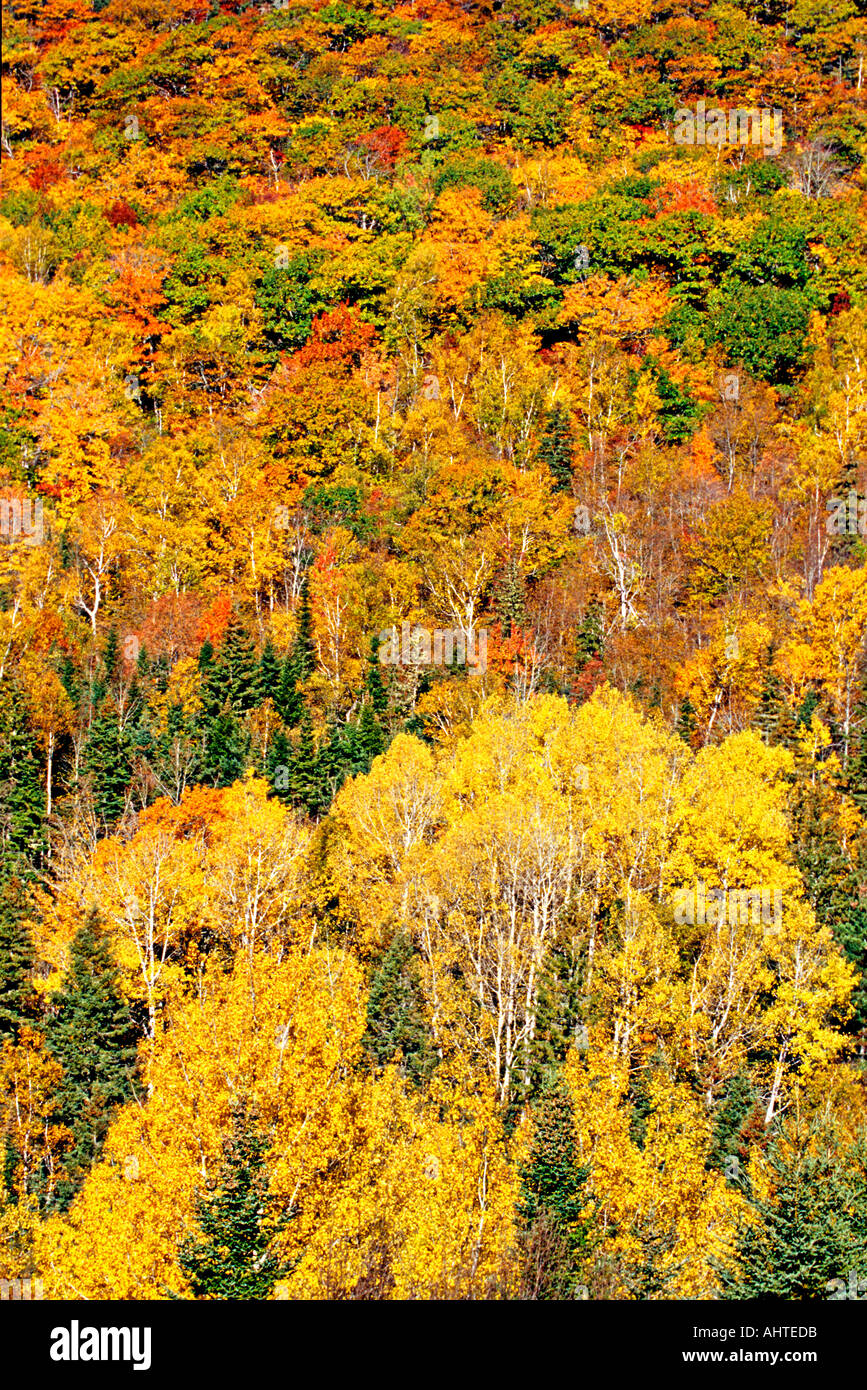 Fall Colors in New Brunswick 8 Stock Photo - Alamy