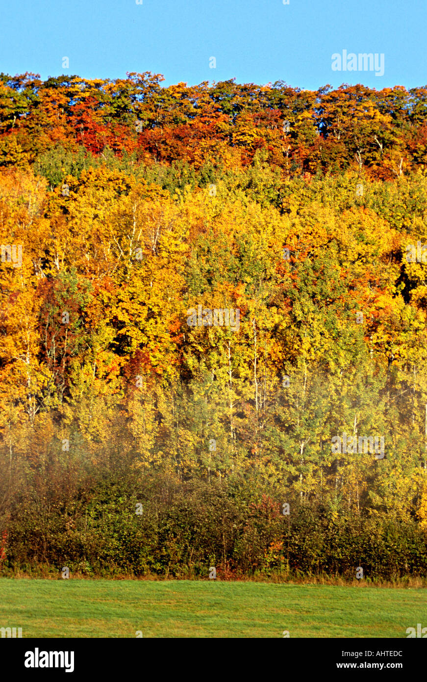 Fall Colors in New Brunswick 9 Stock Photo - Alamy