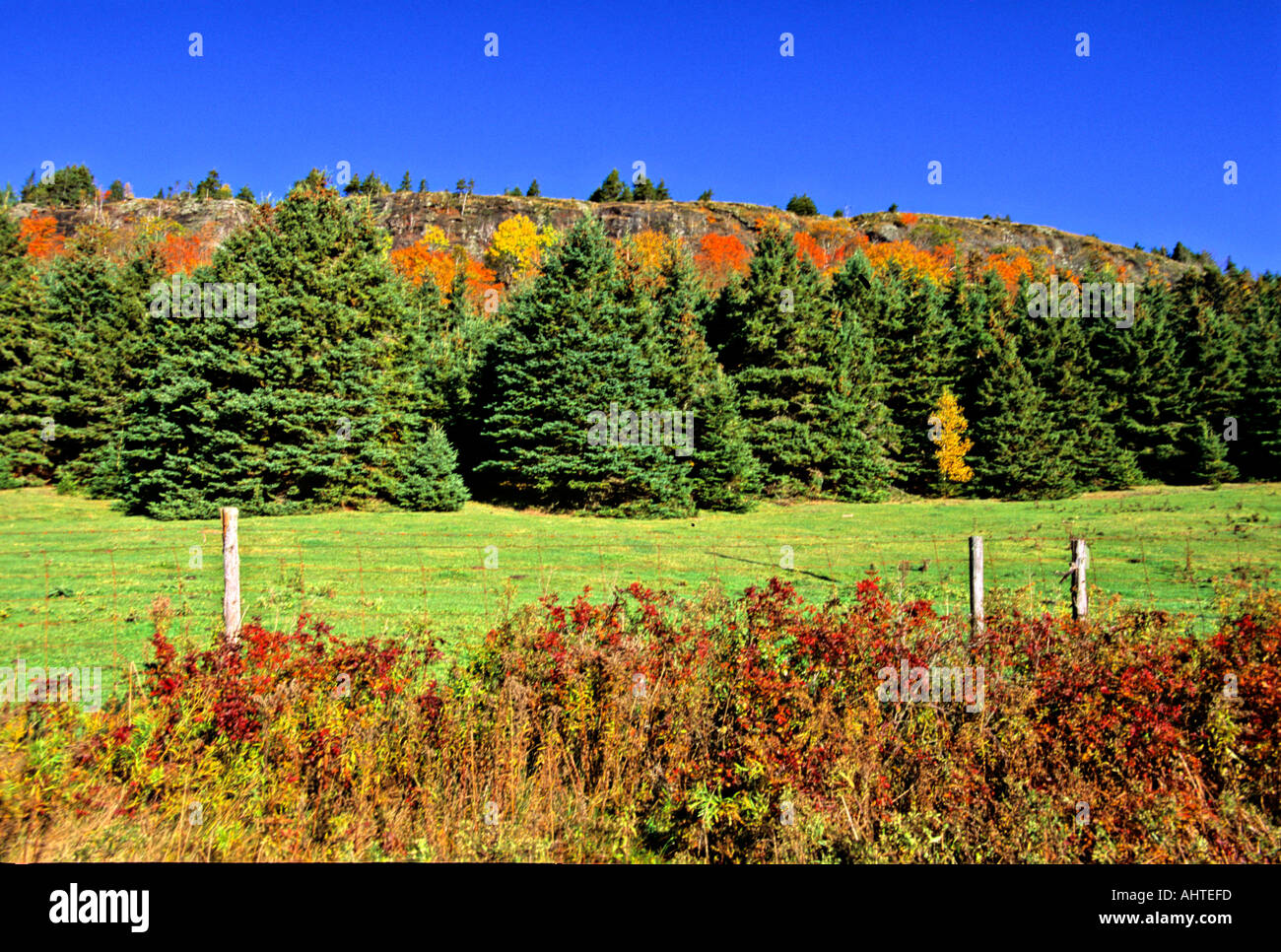 Changing pasture hi-res stock photography and images - Alamy