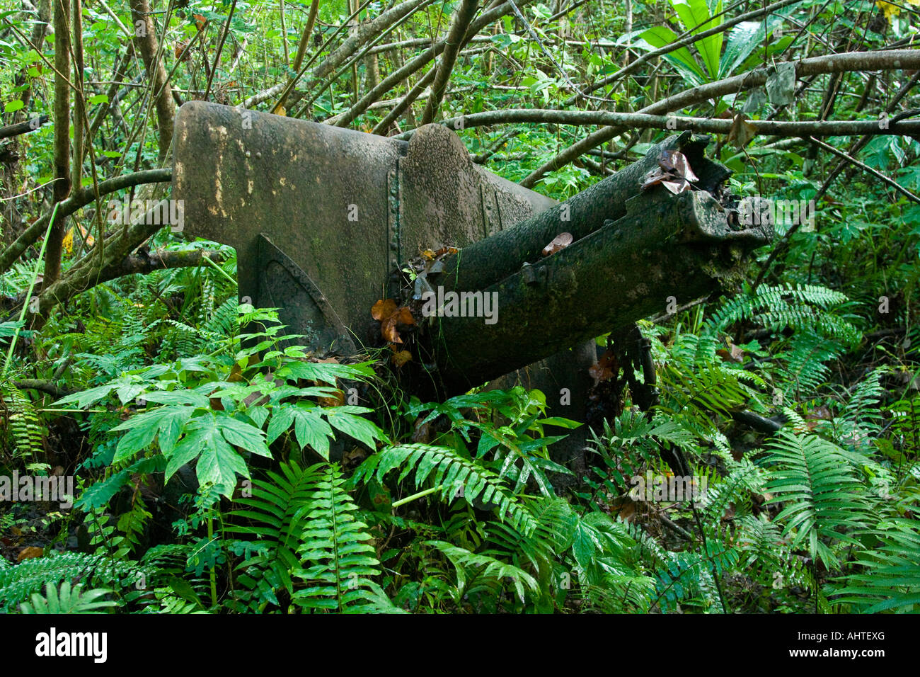 Japanese WWII Artillery War Relic Ruins Yap Micronesia Stock Photo - Alamy
