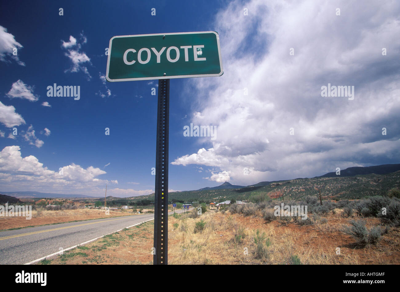 Coyote and road sign hi-res stock photography and images - Alamy