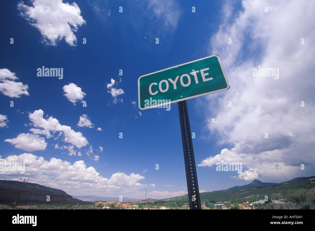 Coyote and road sign hi-res stock photography and images - Alamy