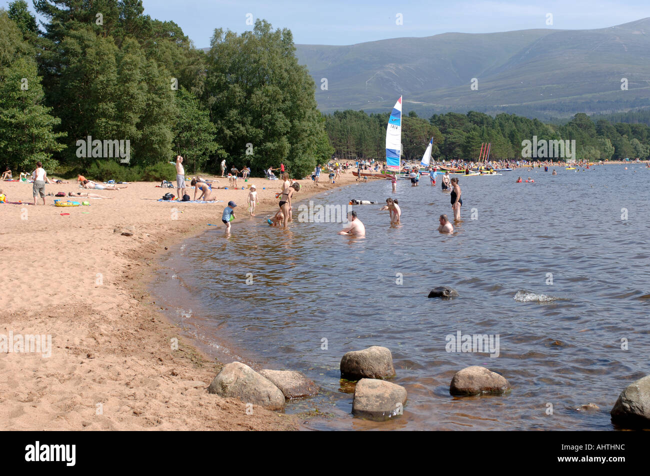 Loch Morlich beach in Summer Stock Photo - Alamy