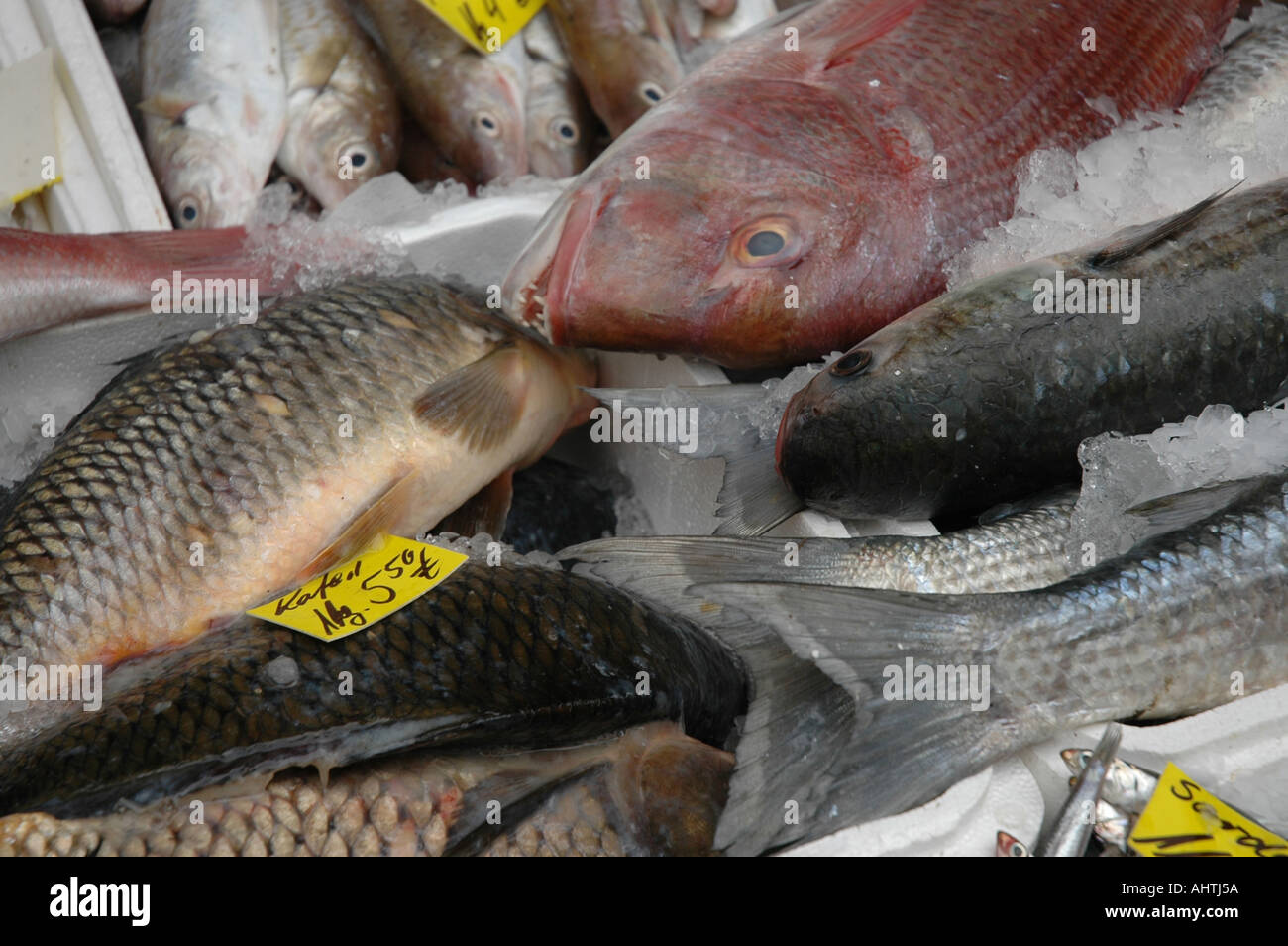 Ern main hi-res stock photography and images - Alamy