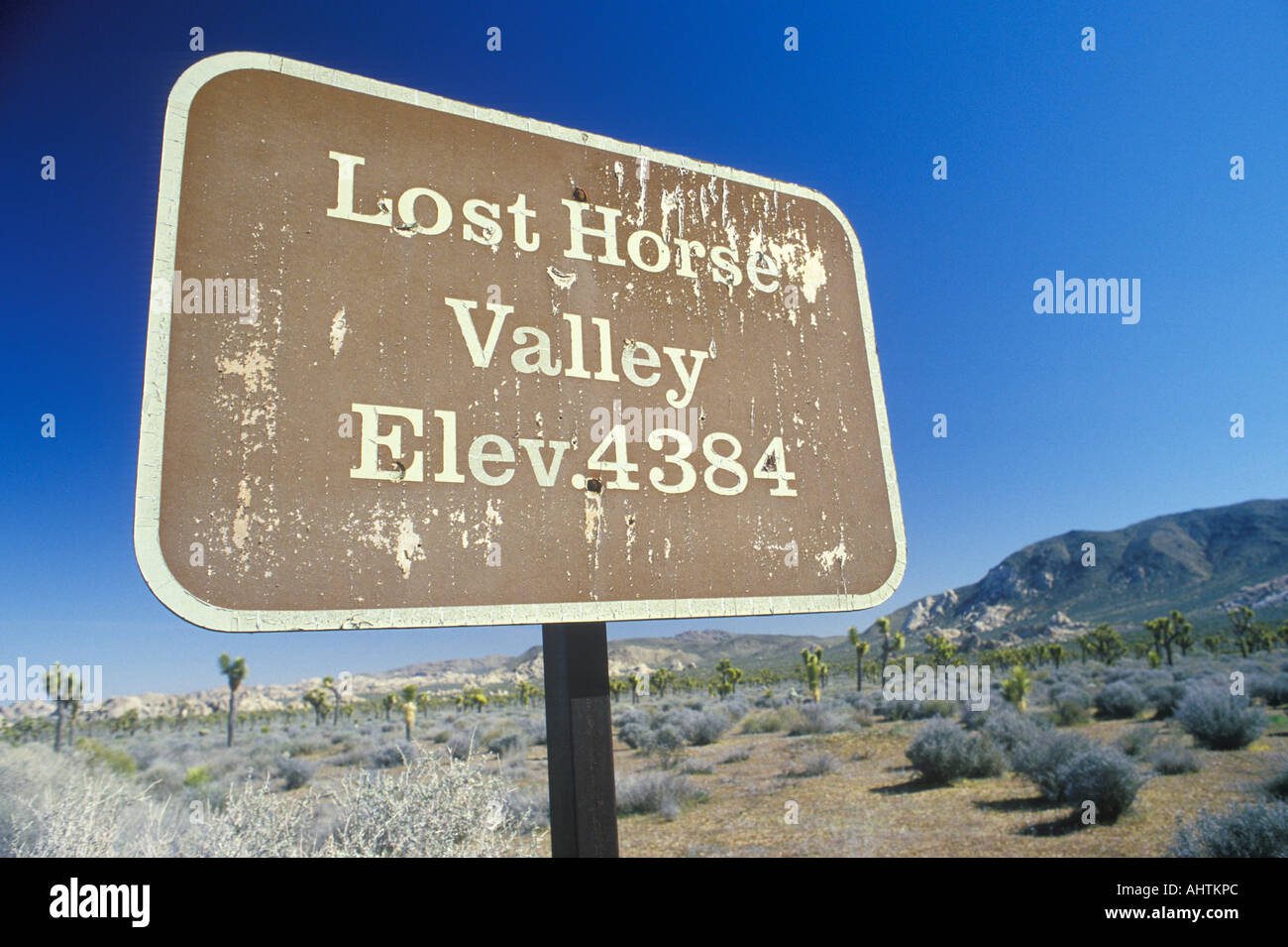 Lost horse hi-res stock photography and images - Alamy