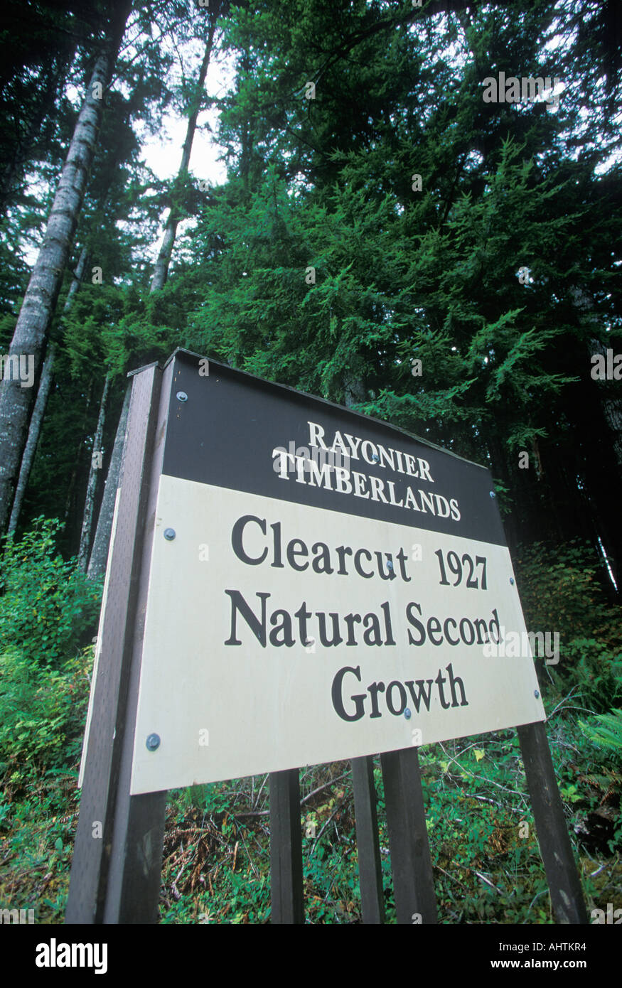 Text on forests forestry hi-res stock photography and images - Alamy