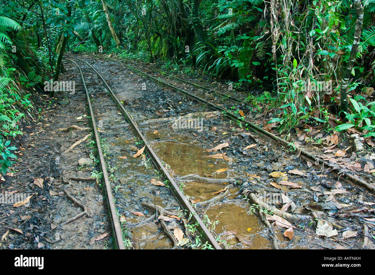Ruins of Japanese Mining Railroad Railway Tracks on the Hike along ...