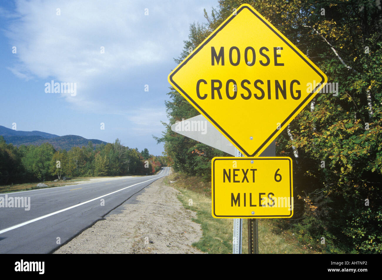 Moose sign new hampshire hi-res stock photography and images - Alamy