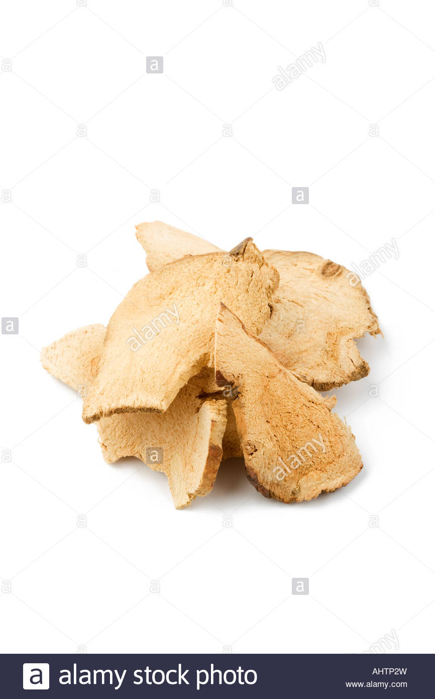 Alpinia Galanga High Resolution Stock Photography and Images - Alamy