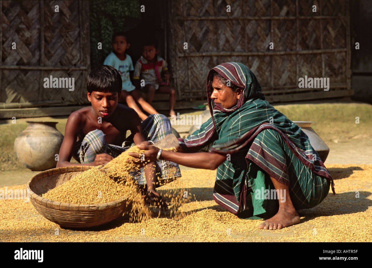 Drying out rice hi-res stock photography and images - Alamy