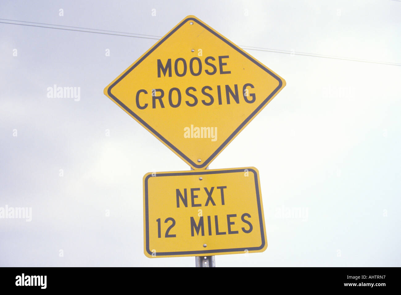 A sign that reads Moose Crossing Stock Photo - Alamy