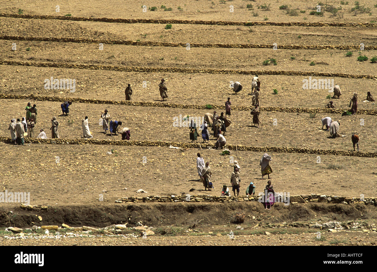Preventing Soil Erosion Terracing