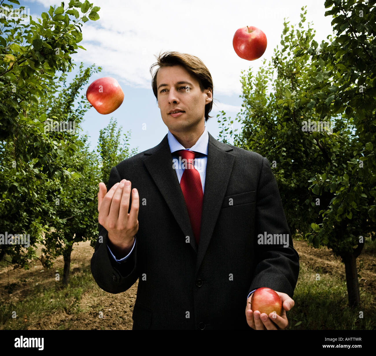 Man Juggling apples in orchard Stock Photo - Alamy