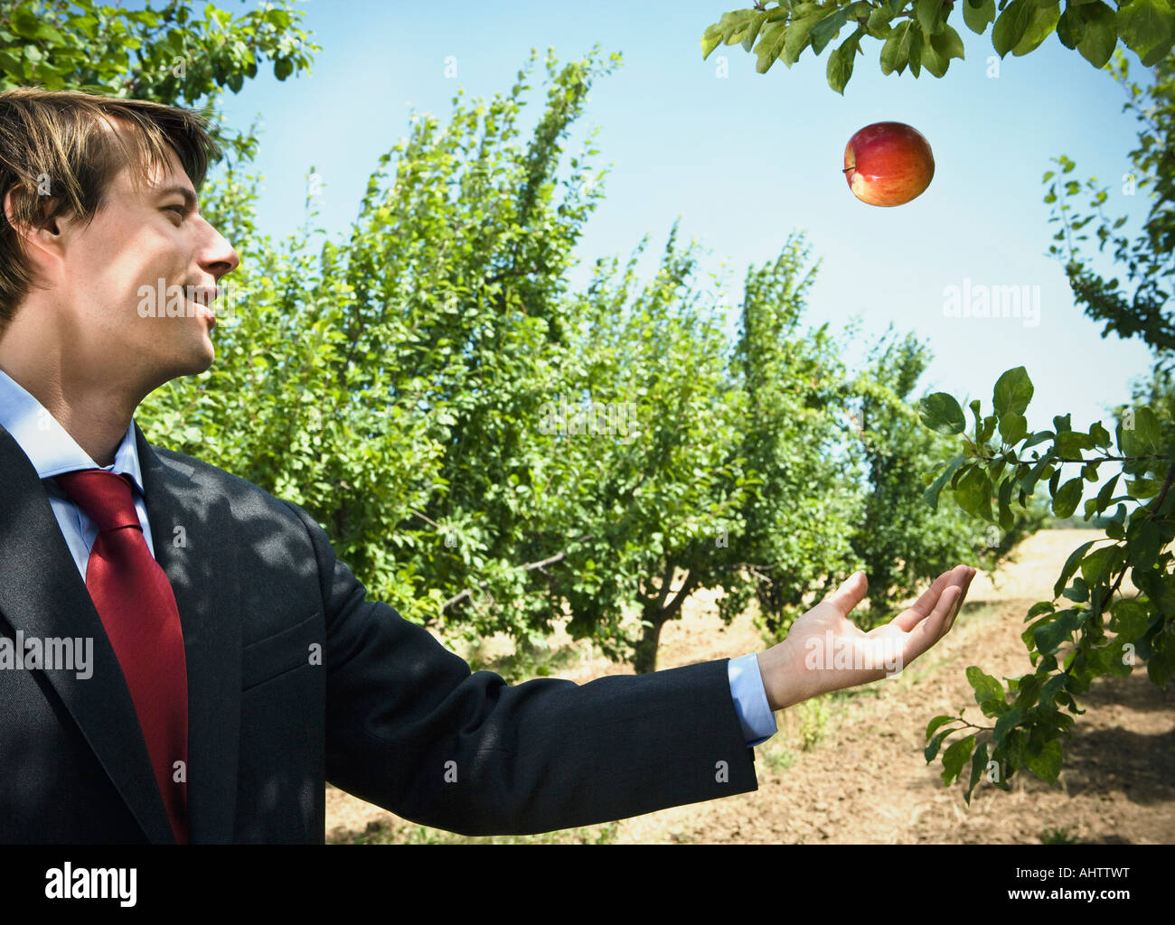Apple falling hi-res stock photography and images - Alamy