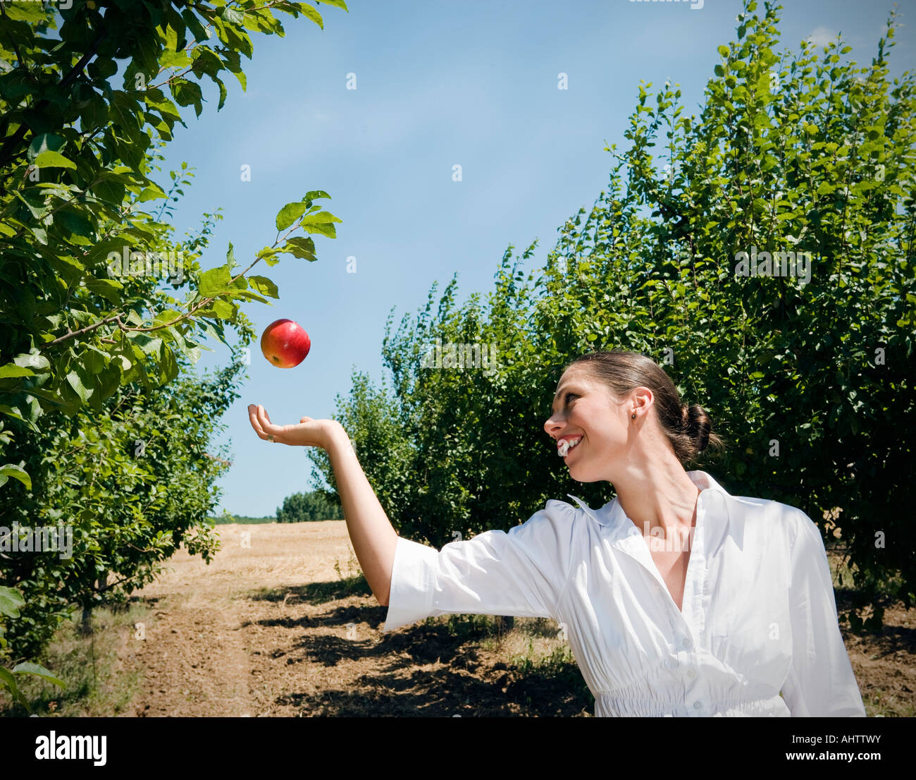 Profit pathway hi-res stock photography and images - Alamy