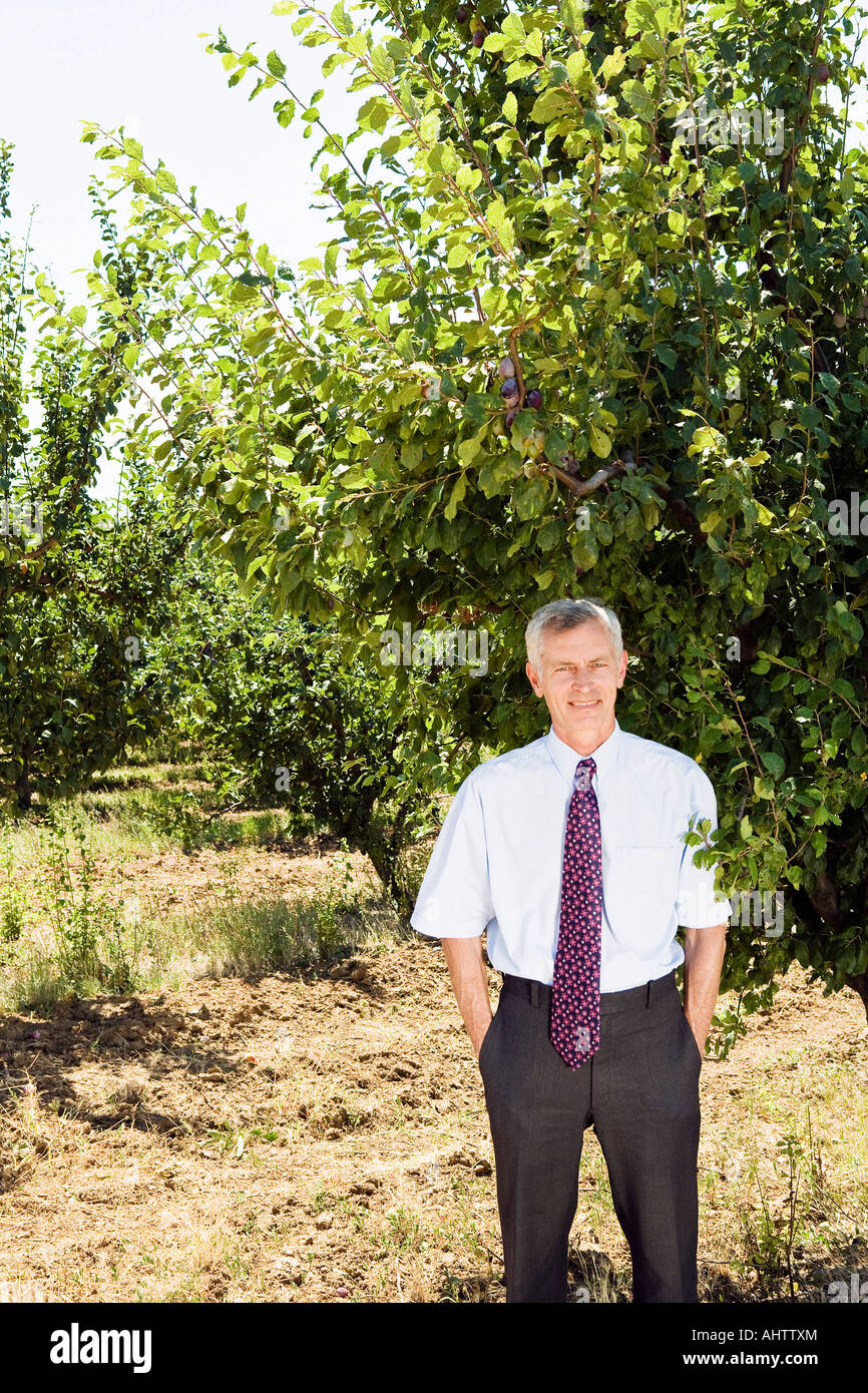 Businessman standing under tree hi-res stock photography and images - Alamy
