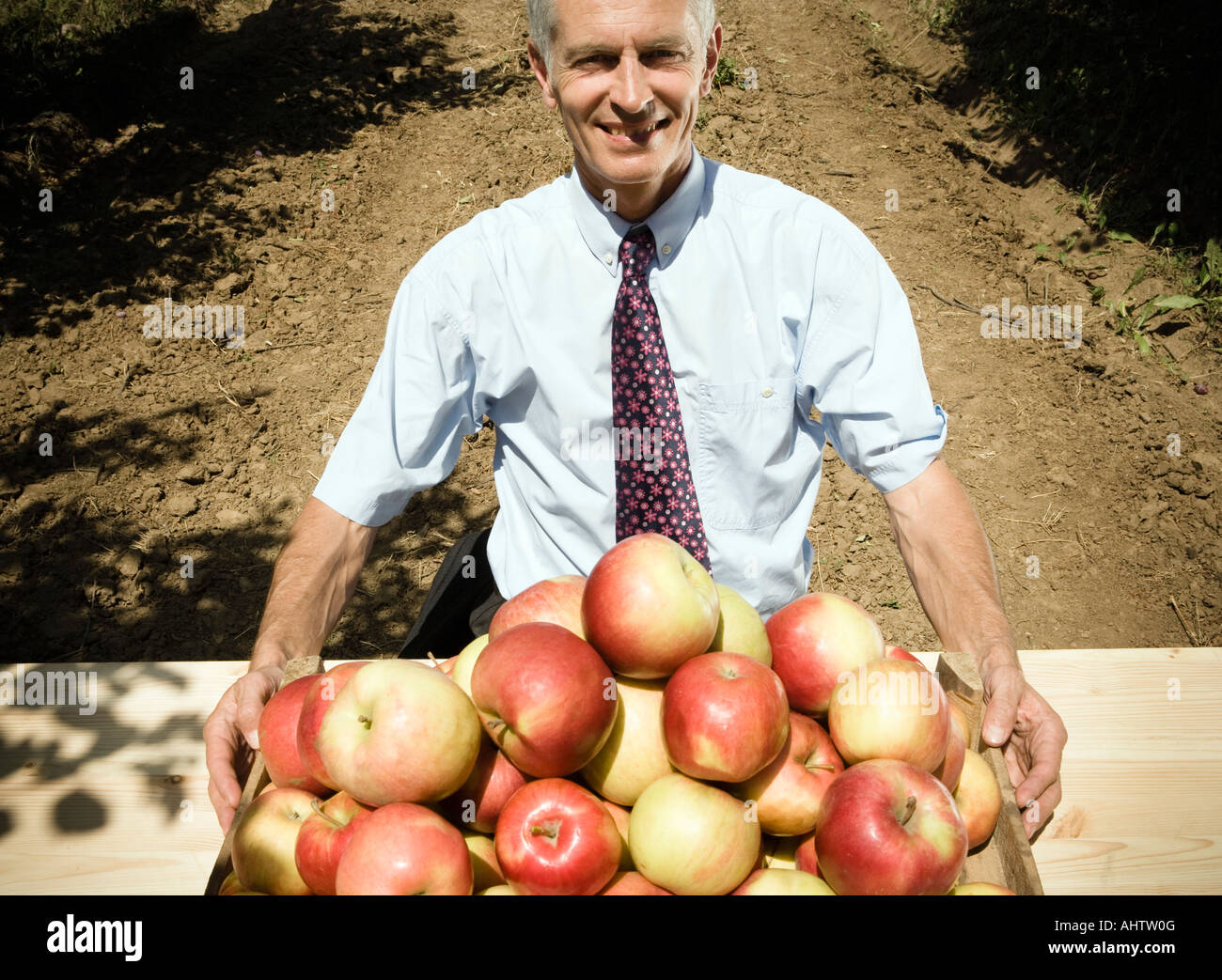 Man sitting behind pile of apples in orchard Stock Photo - Alamy