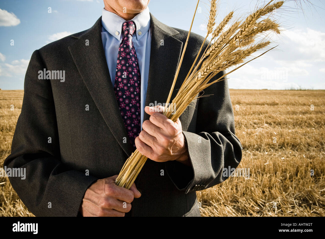 Businessman standing grain field hi-res stock photography and images ...