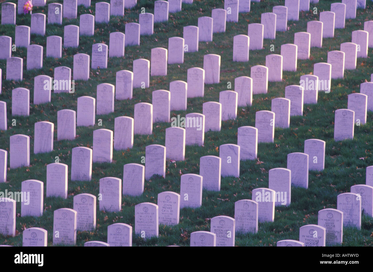 Rows of Gravestones Arlington National Cemetery Washington D C Stock ...