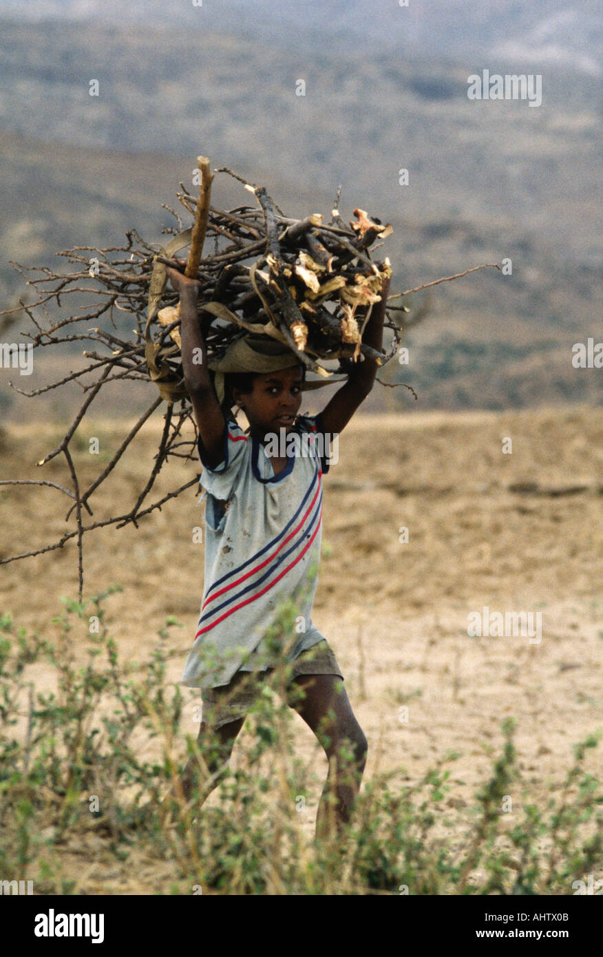 Young boy returning home with firewood. Ethiopia Stock Photo - Alamy