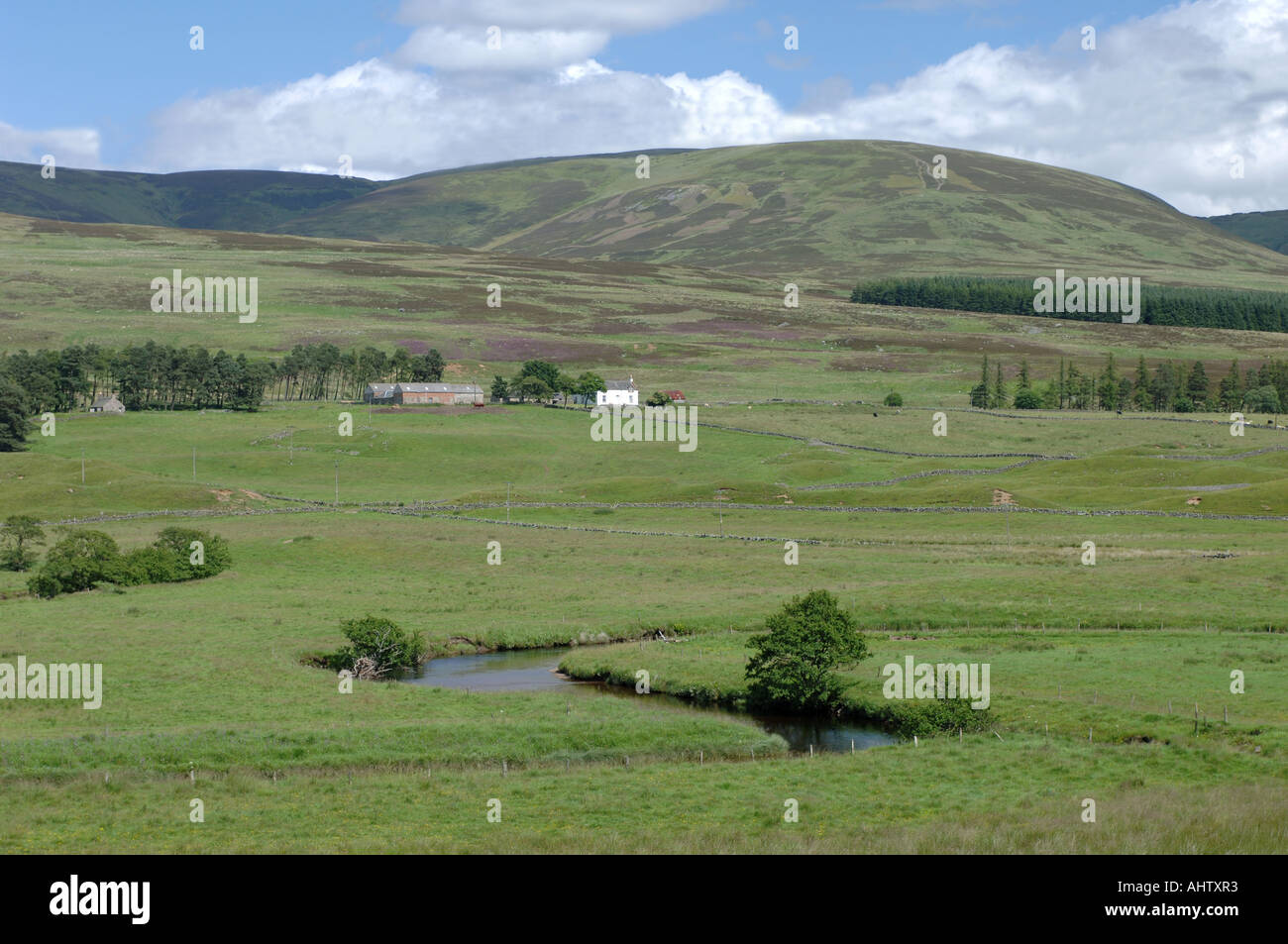 Glen Clova Angus Stock Photo - Alamy